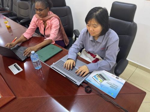 CNSS : un portail innovant au service des employeurs et salariés guinéens